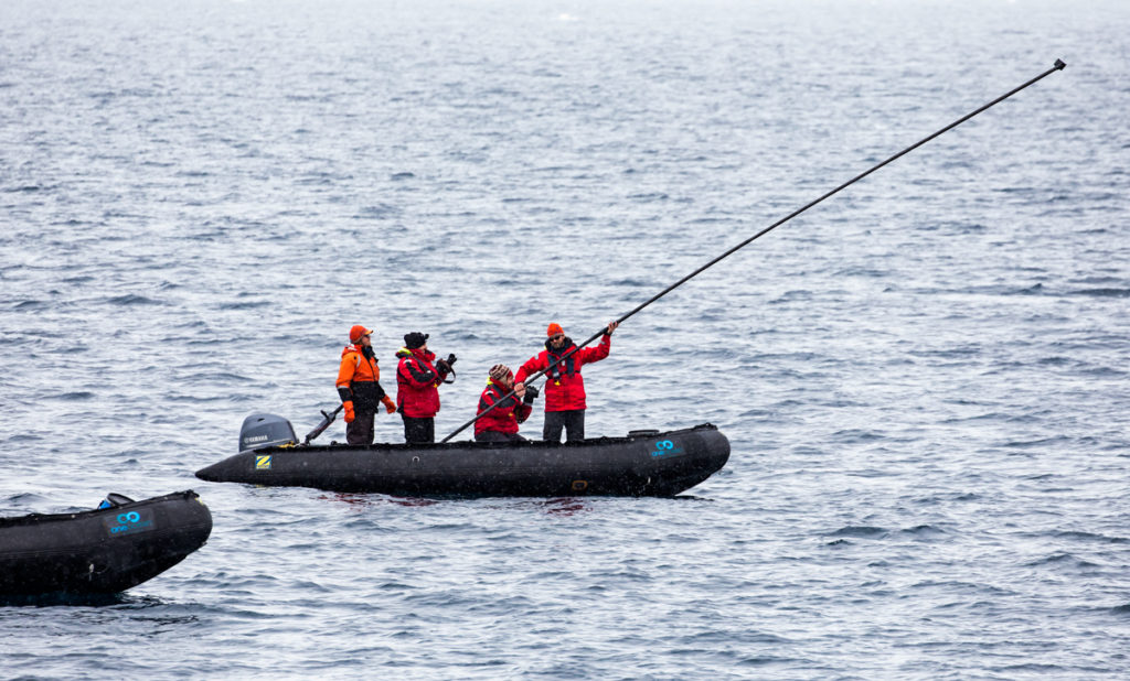 Antarctic Season Ends with Ultimate Marine Mammals Trip | One Ocean ...